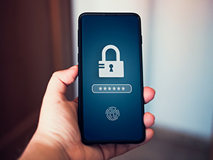New Security Features To Protect Your Phone In 2024 | Micro Solutions ...